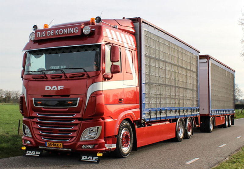 WSI Model Tijs De Koning DAF XF Space Cab